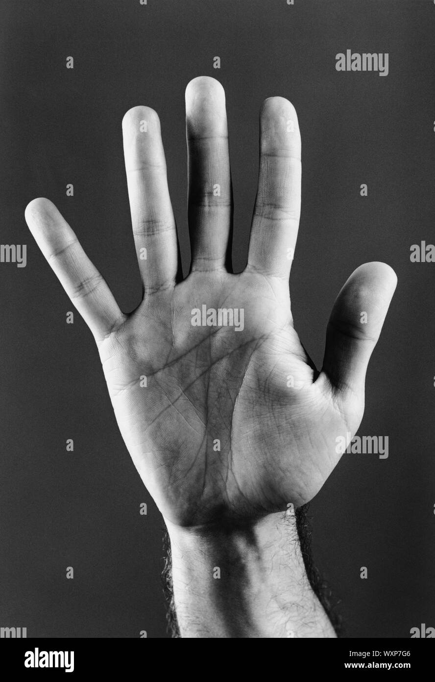 Lifting lifted lift raised hi-res stock photography and images - Alamy