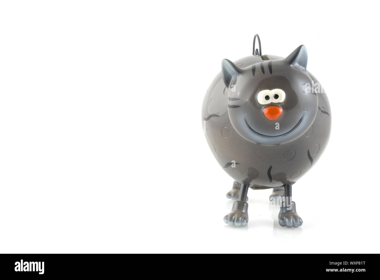 Funny grey cat with socks on it's feet Stock Photo - Alamy