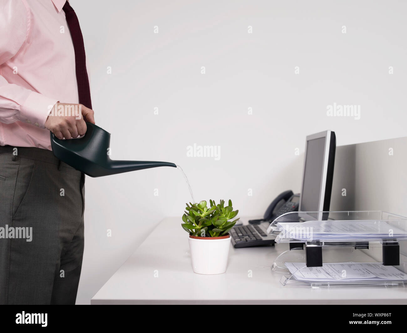 Side view midsection of a male office worker watering desk plant Stock ...