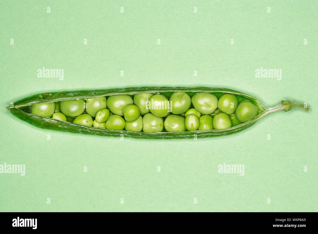 Open Pea Pod With Peas Inside Stock Photo - Alamy