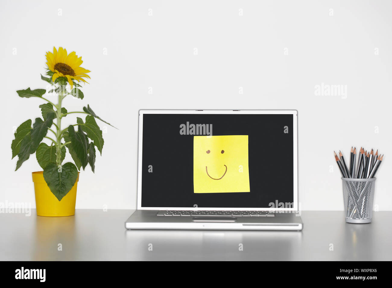 Smiley face on laptop screen by pencils in cup and flowers on desk ...