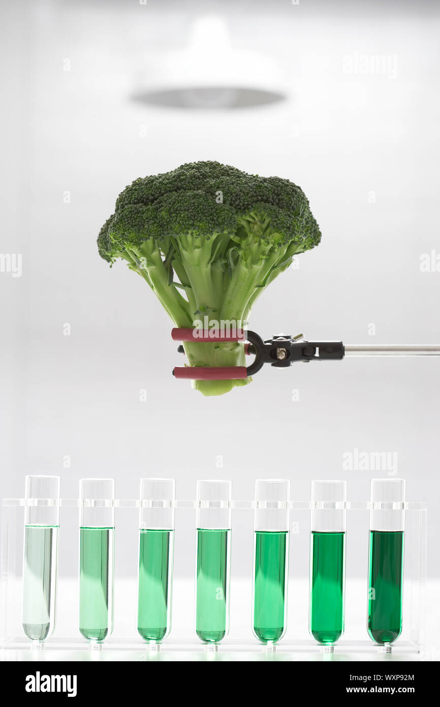 Broccoli over test tubes containing green chemicals Stock Photo - Alamy