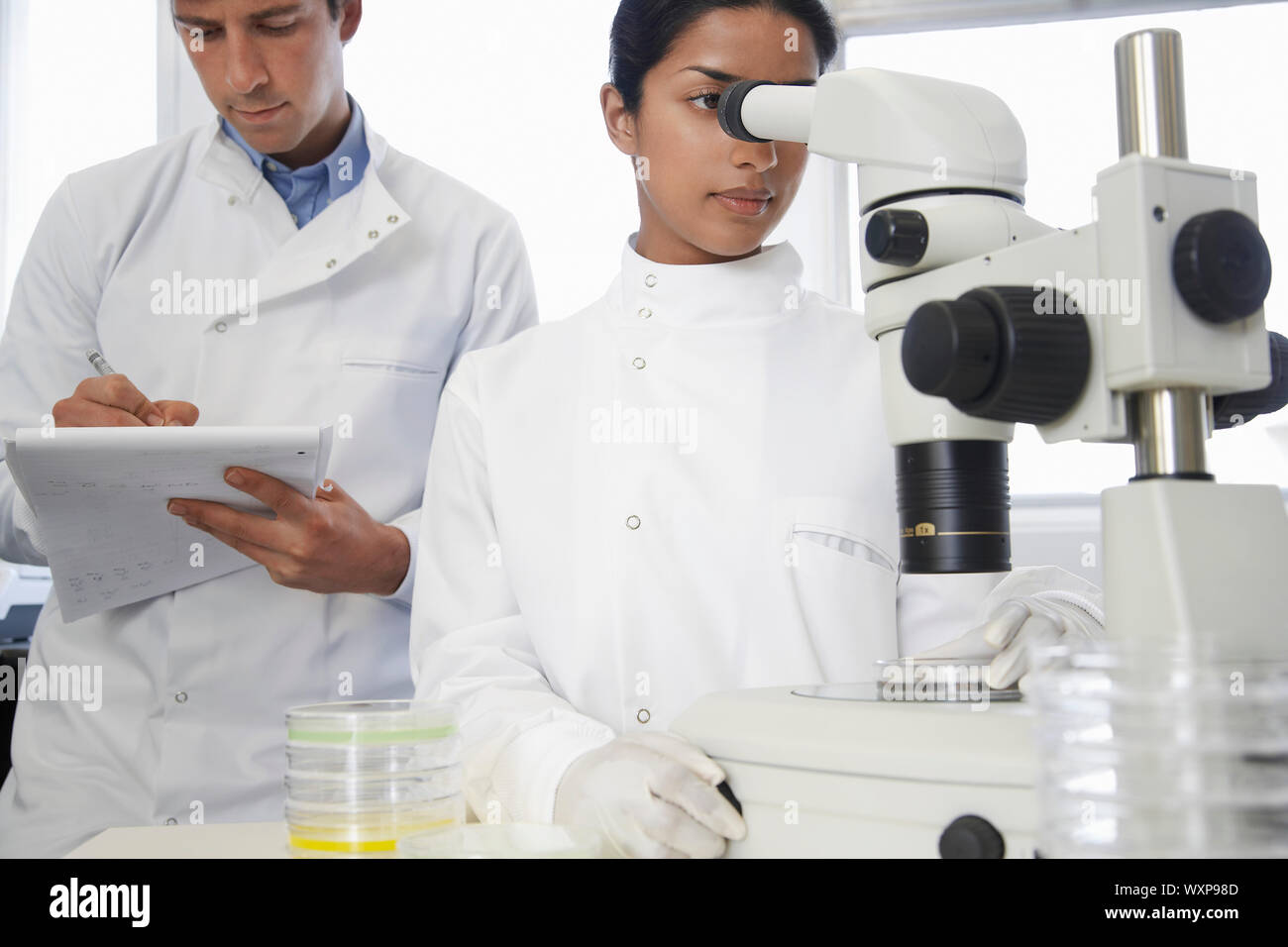 Indian women working microscope hi-res stock photography and images - Alamy