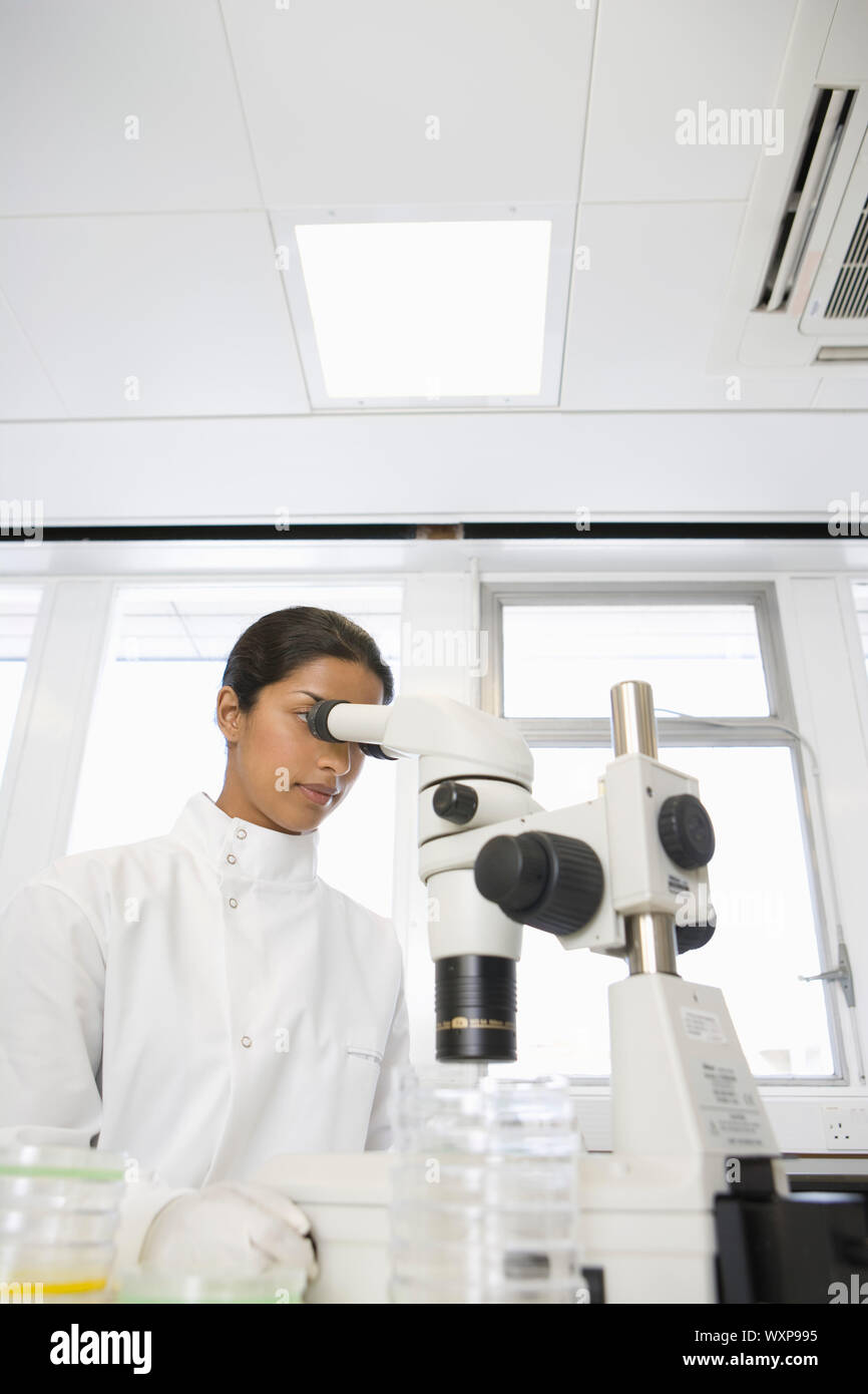 Indian women working microscope hi-res stock photography and images - Alamy
