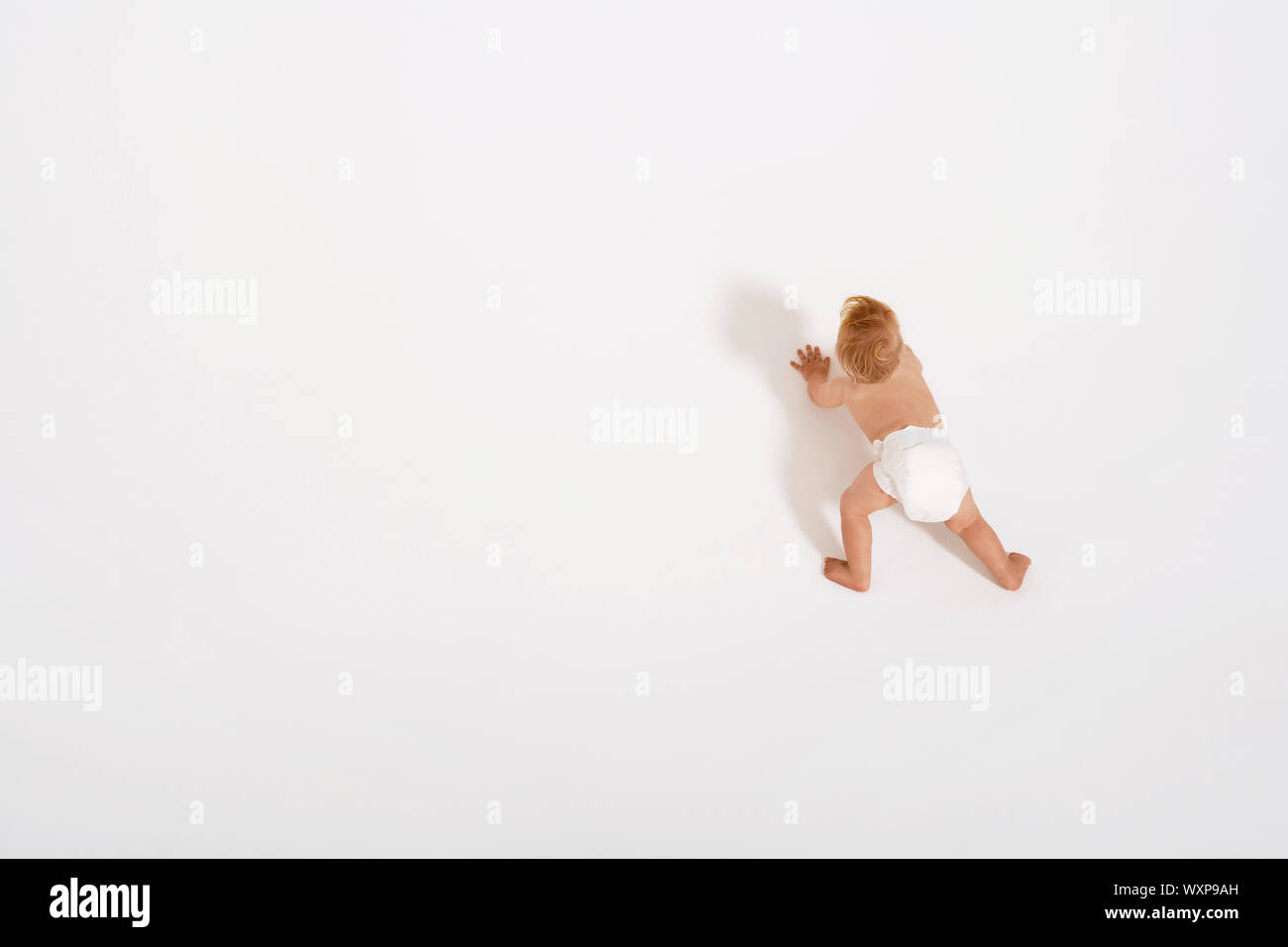 High angle view of baby crawling isolated on white background Stock ...