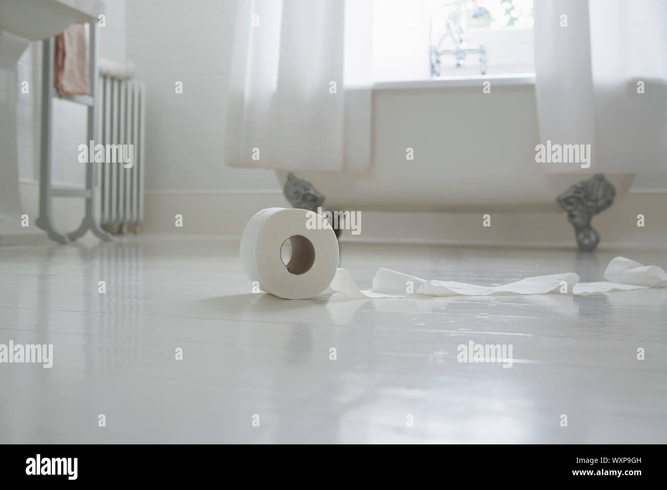 Toilet scenes hi-res stock photography and images - Alamy