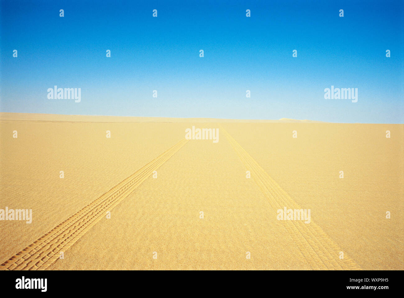 Tire Tracks Through the Desert Stock Photo - Alamy