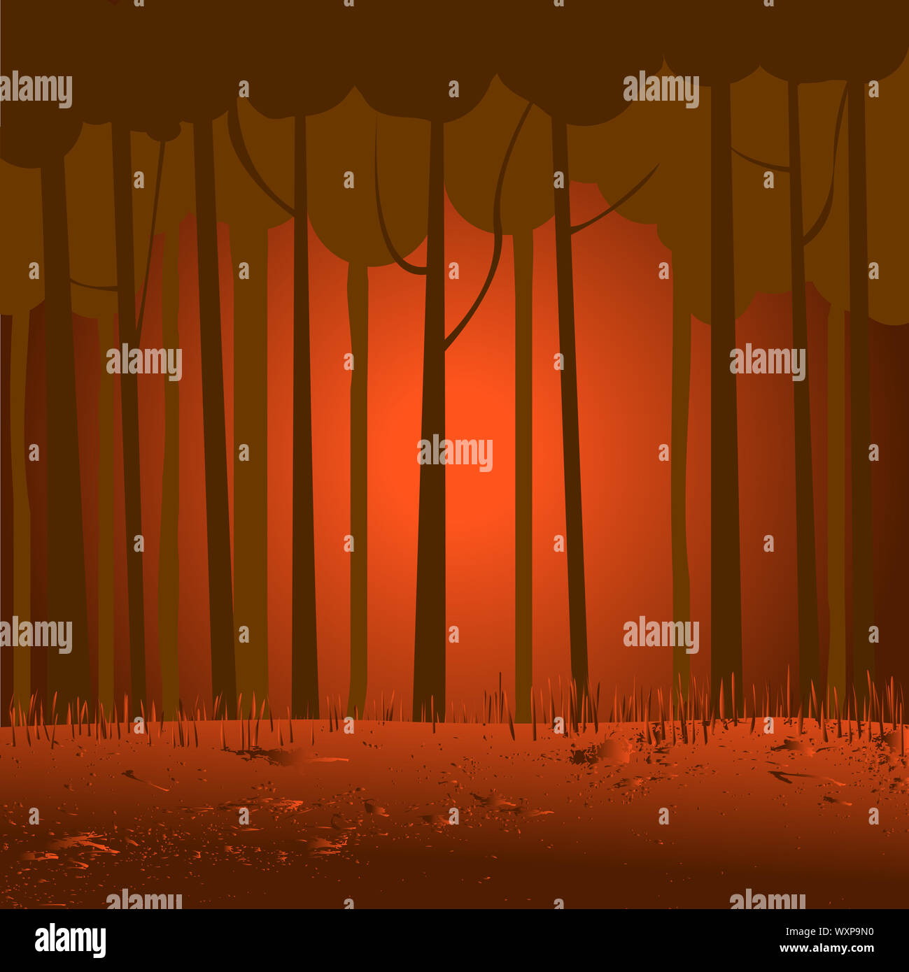 Marsh ghost hi-res stock photography and images - Alamy