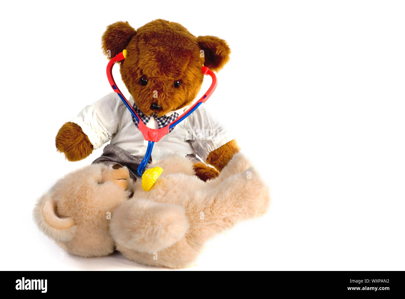 doctor bear is examine a patient with his stethoscope Stock Photo - Alamy