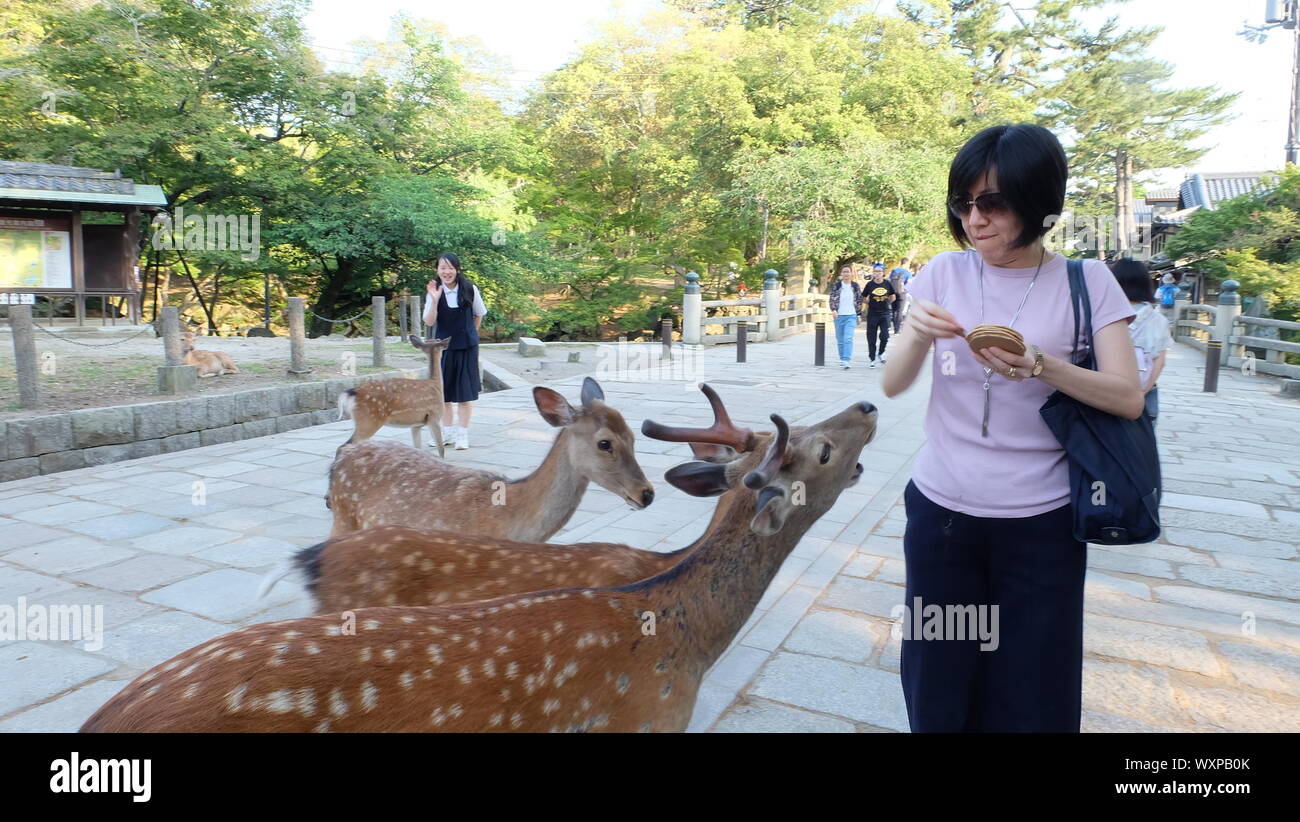 Visit nara hi-res stock photography and images - Alamy