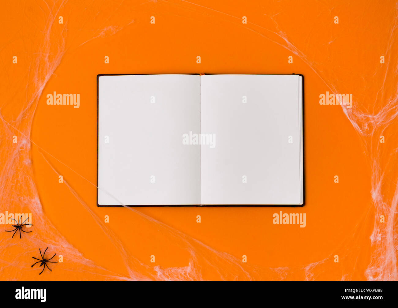Notepad at orange background with spiders and web Stock Photo - Alamy