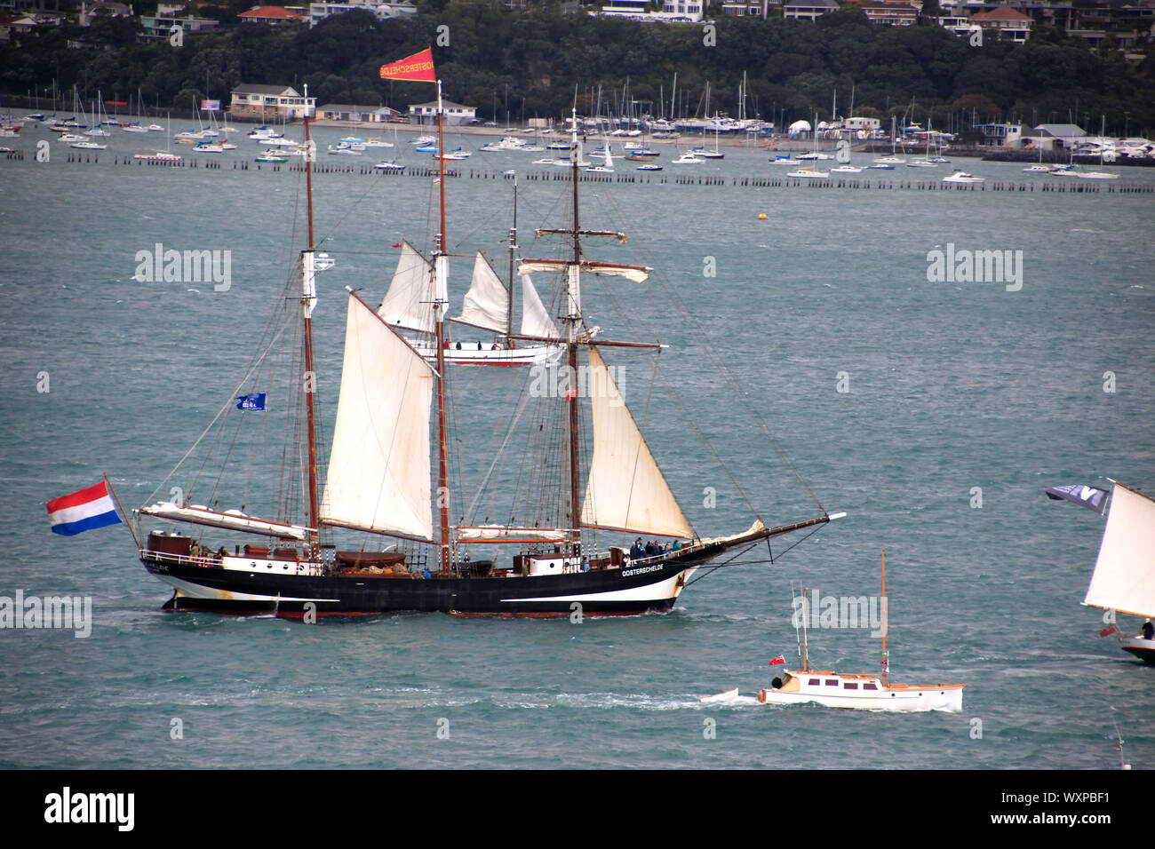 AUCKLAND-October 25: Tall ship Tecla of the Netherlands sailing in from ...