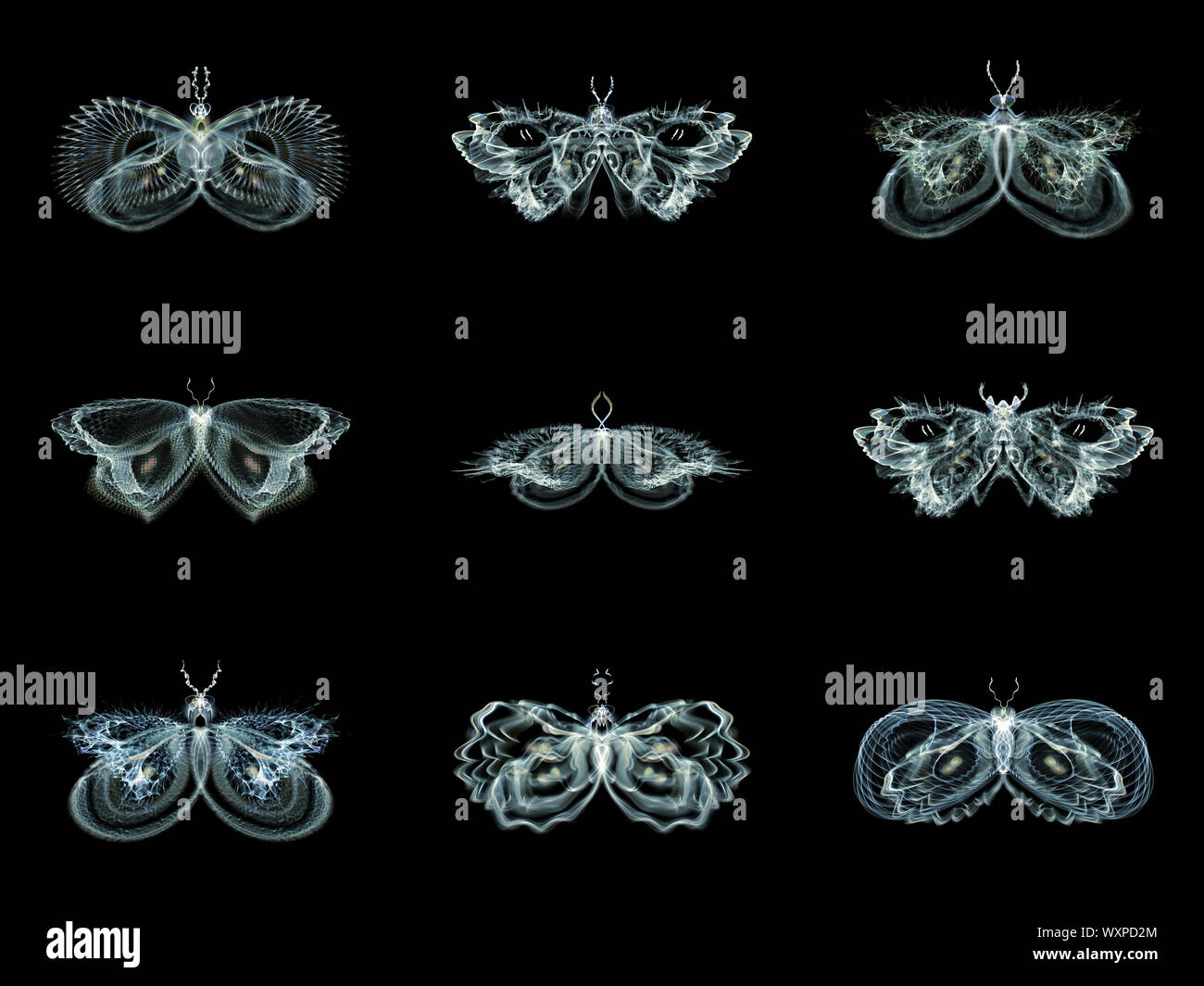 Fractal Butterflies series. Abstract design made of isolated fractal ...