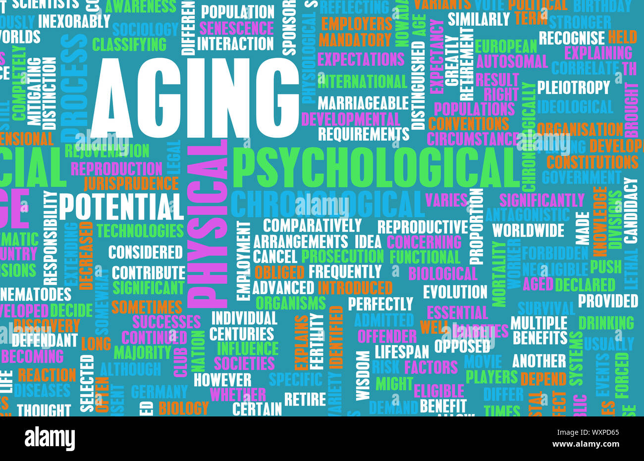 Human ageing process hi-res stock photography and images - Alamy