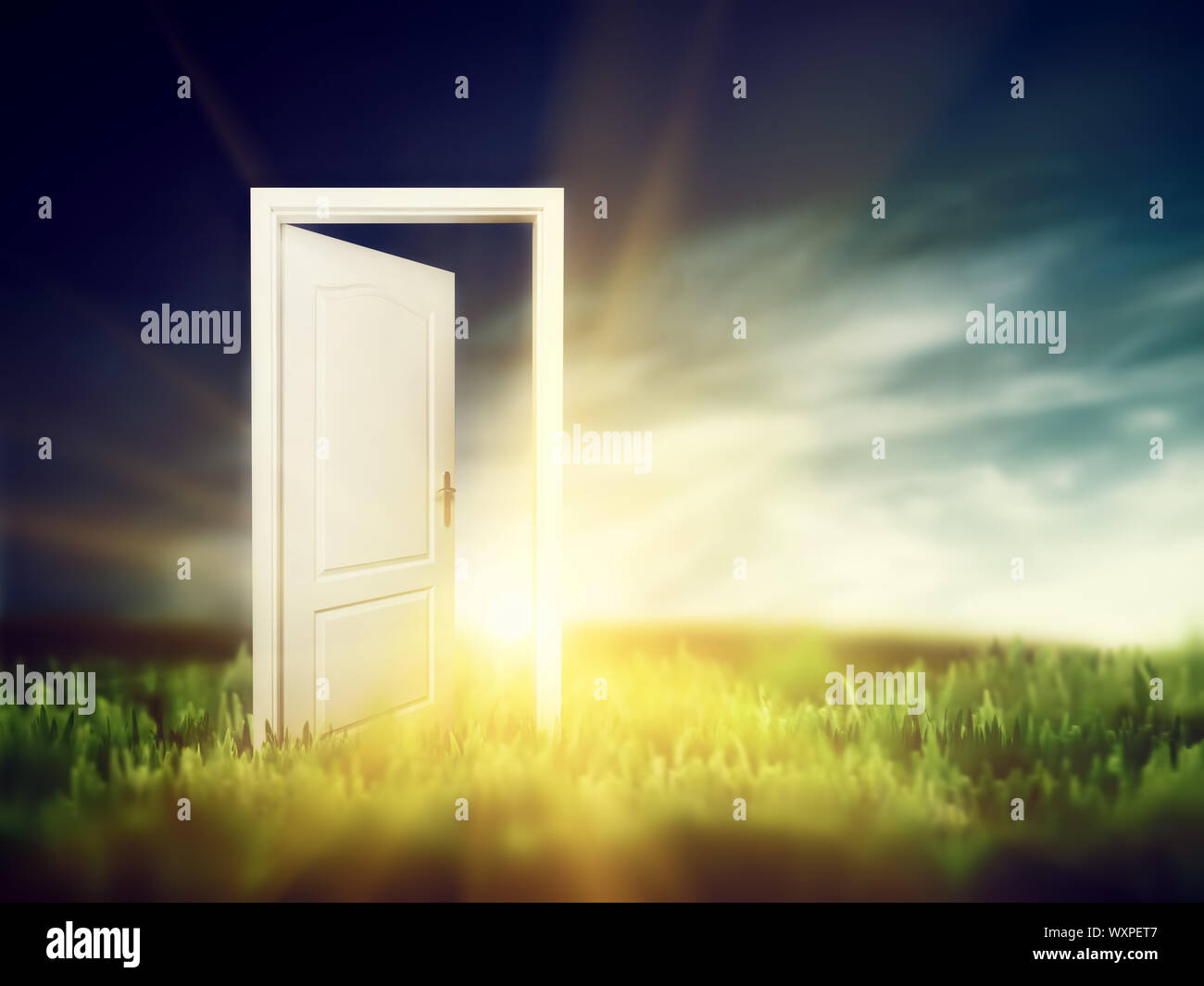 Open door on the green field. Conceptual new way, entrance to new world ...