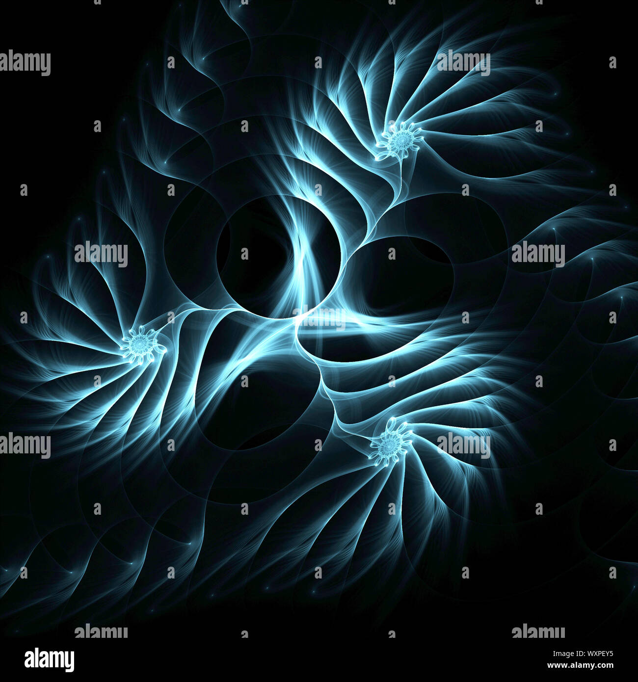 Three lobed shape hi-res stock photography and images - Alamy