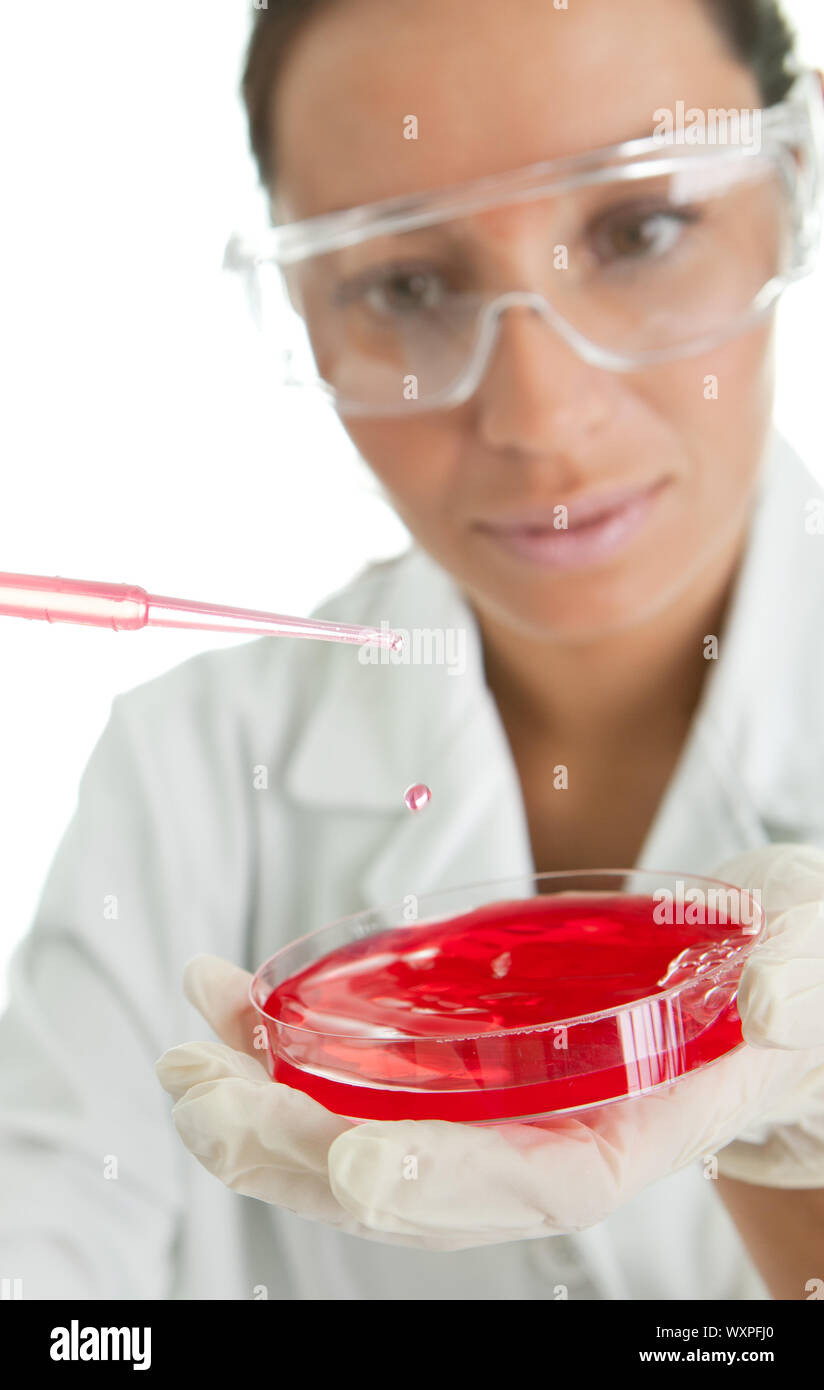 Carrying out test in laboratory. Focus on pipette. Isolated on white ...