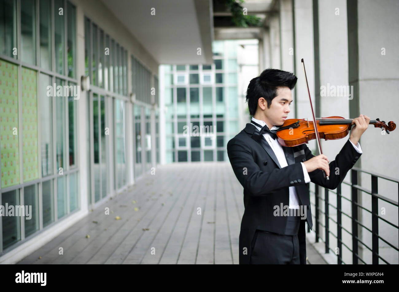 Thailand asia man with his violin he is a soloist Stock Photo - Alamy