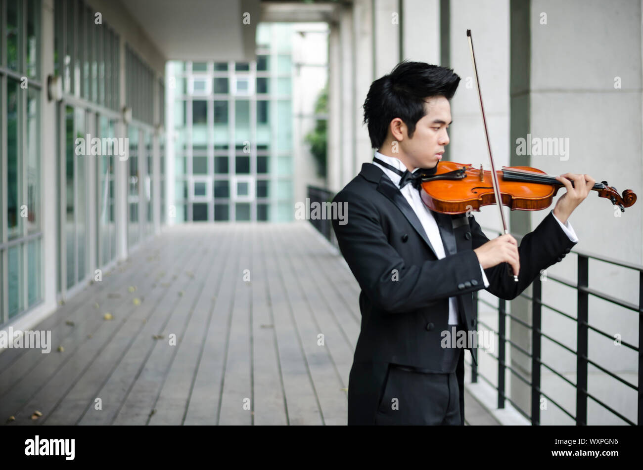 Thailand asia man with his violin he is a soloist Stock Photo - Alamy