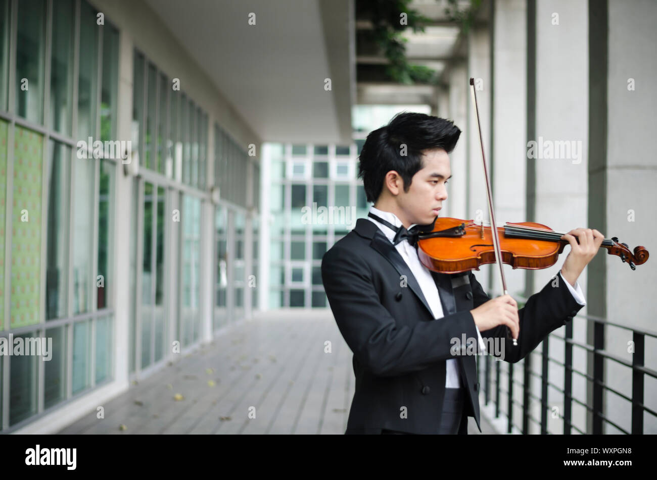 Thailand asia man with his violin he is a soloist Stock Photo - Alamy