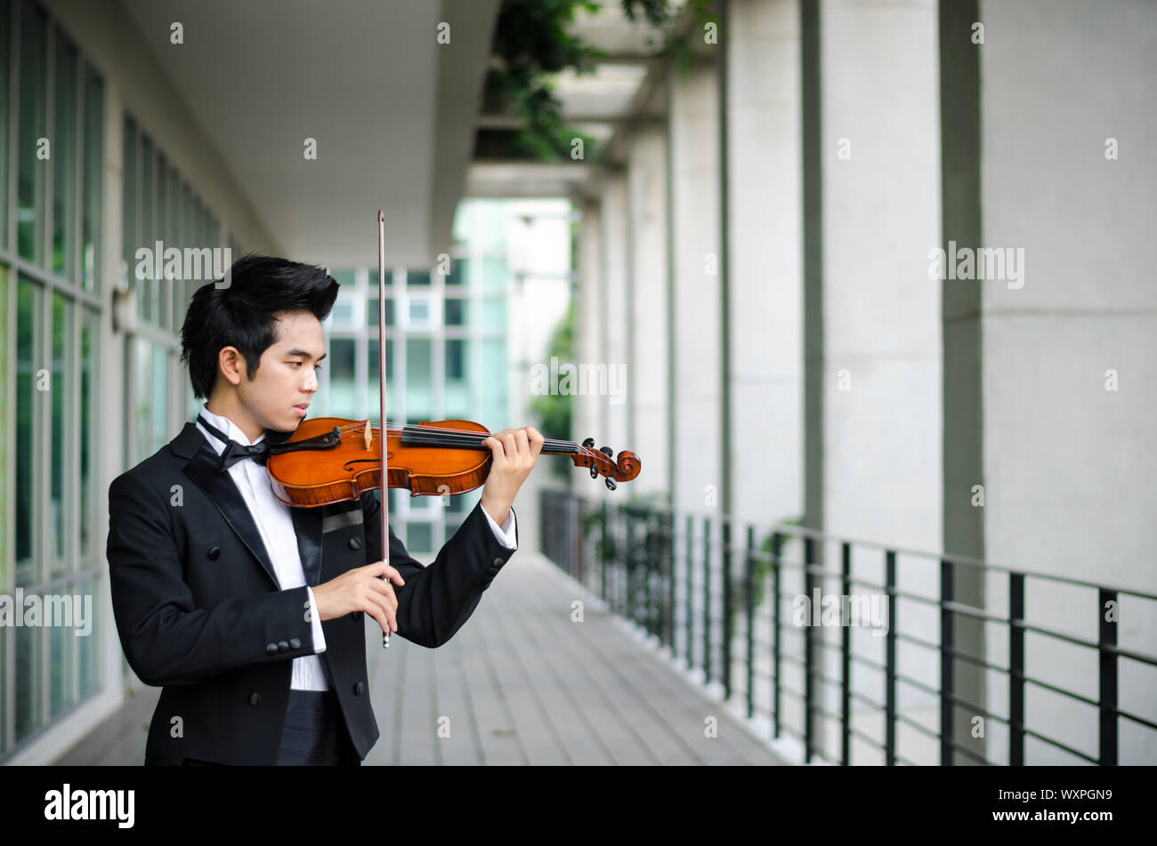 Thailand asia man with his violin he is a soloist Stock Photo - Alamy