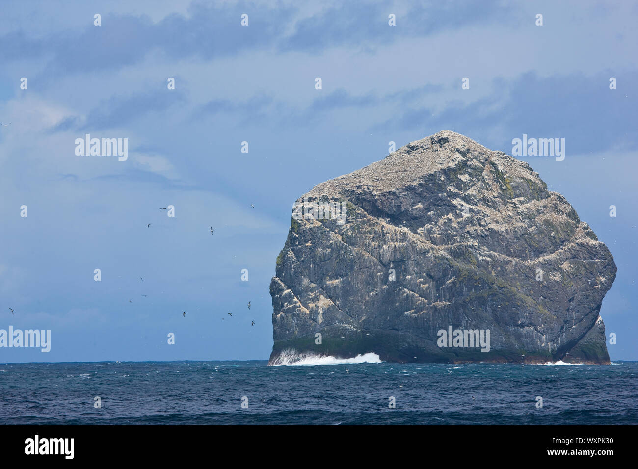 Isla Stac Lee y colonia de alcatraz. Archipielago St. Kilda. Outer ...