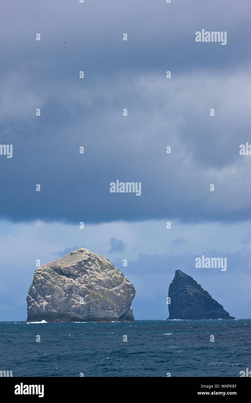Isla Stac Lee y Stac an Armin. Colonia de alcatraz. Archipielago St ...