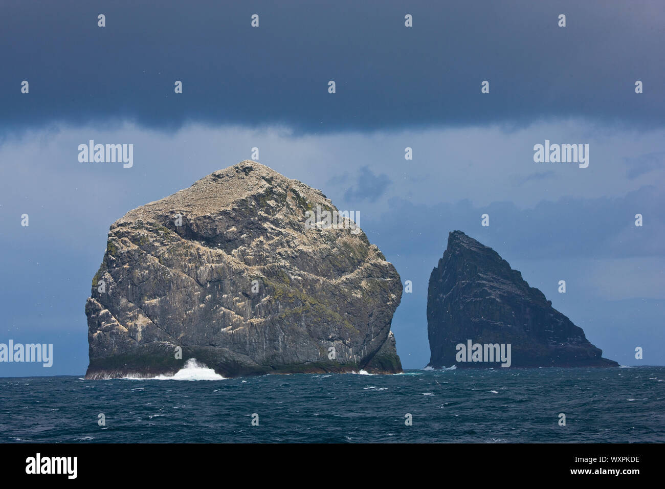 Isla Stac Lee y Stac an Armin. Colonia de alcatraz. Archipielago St ...