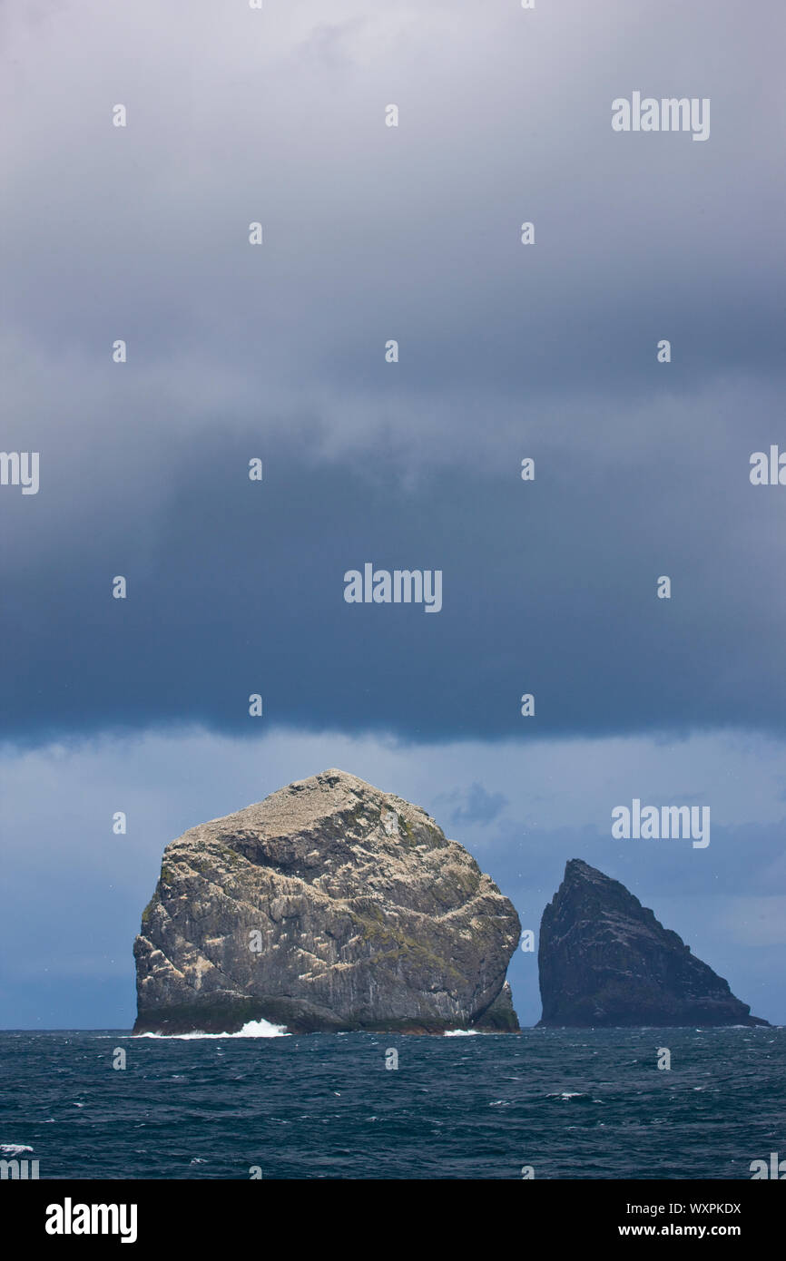 Isla Stac Lee y Stac an Armin. Colonia de alcatraz. Archipielago St ...