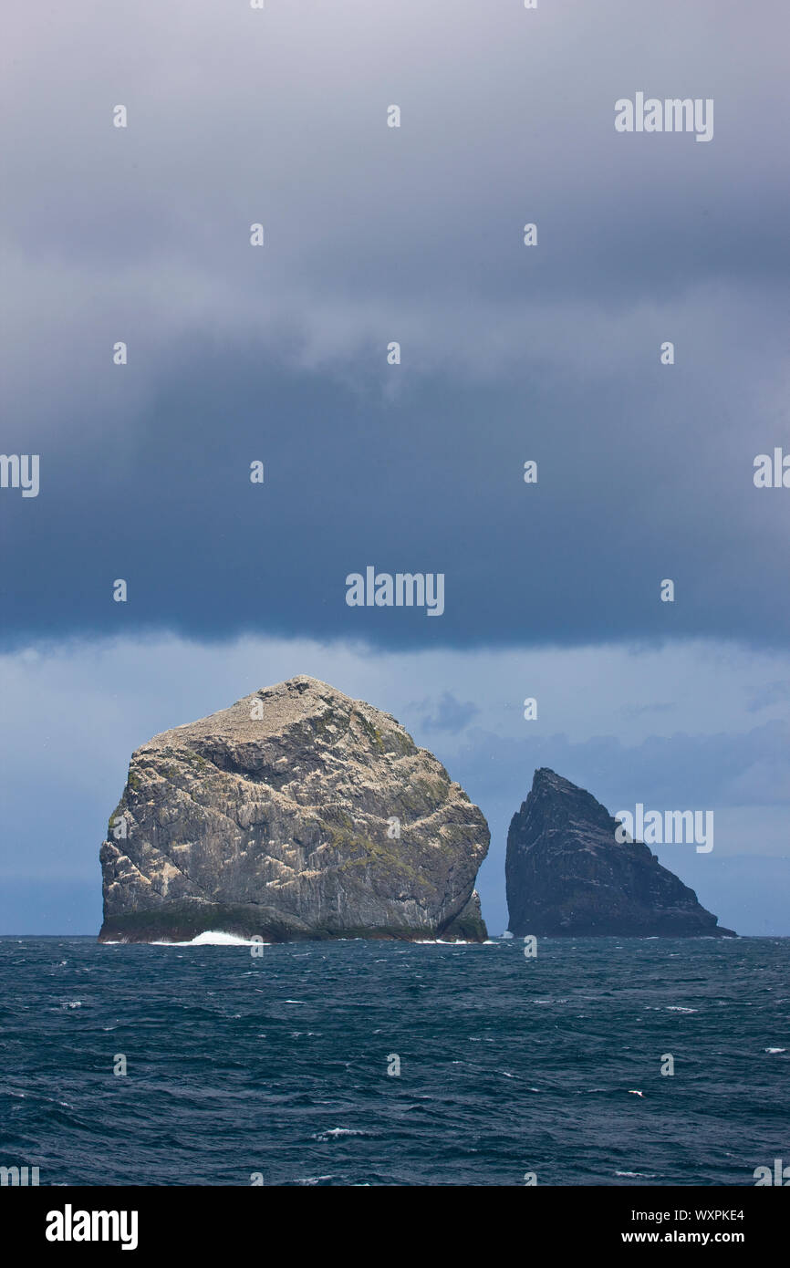 Isla Stac Lee y Stac an Armin. Colonia de alcatraz. Archipielago St ...