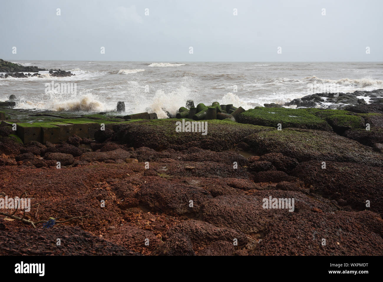 Coral reefs of the Anjuna beach. Goa, India Stock Photo - Alamy