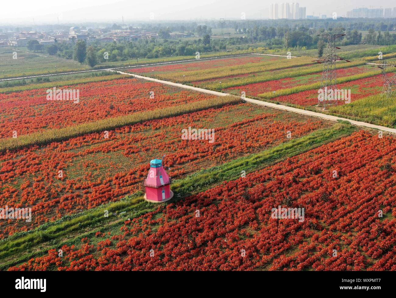 Jinyuan district hi-res stock photography and images - Alamy