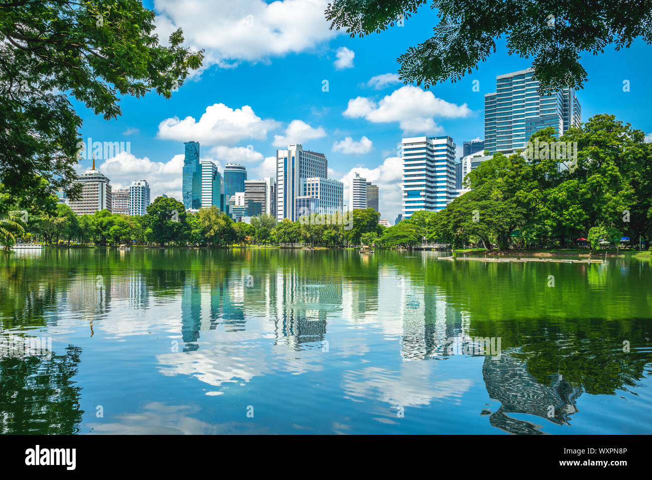 scenery of Lumphini Park at Bangkok, Thailand Stock Photo - Alamy