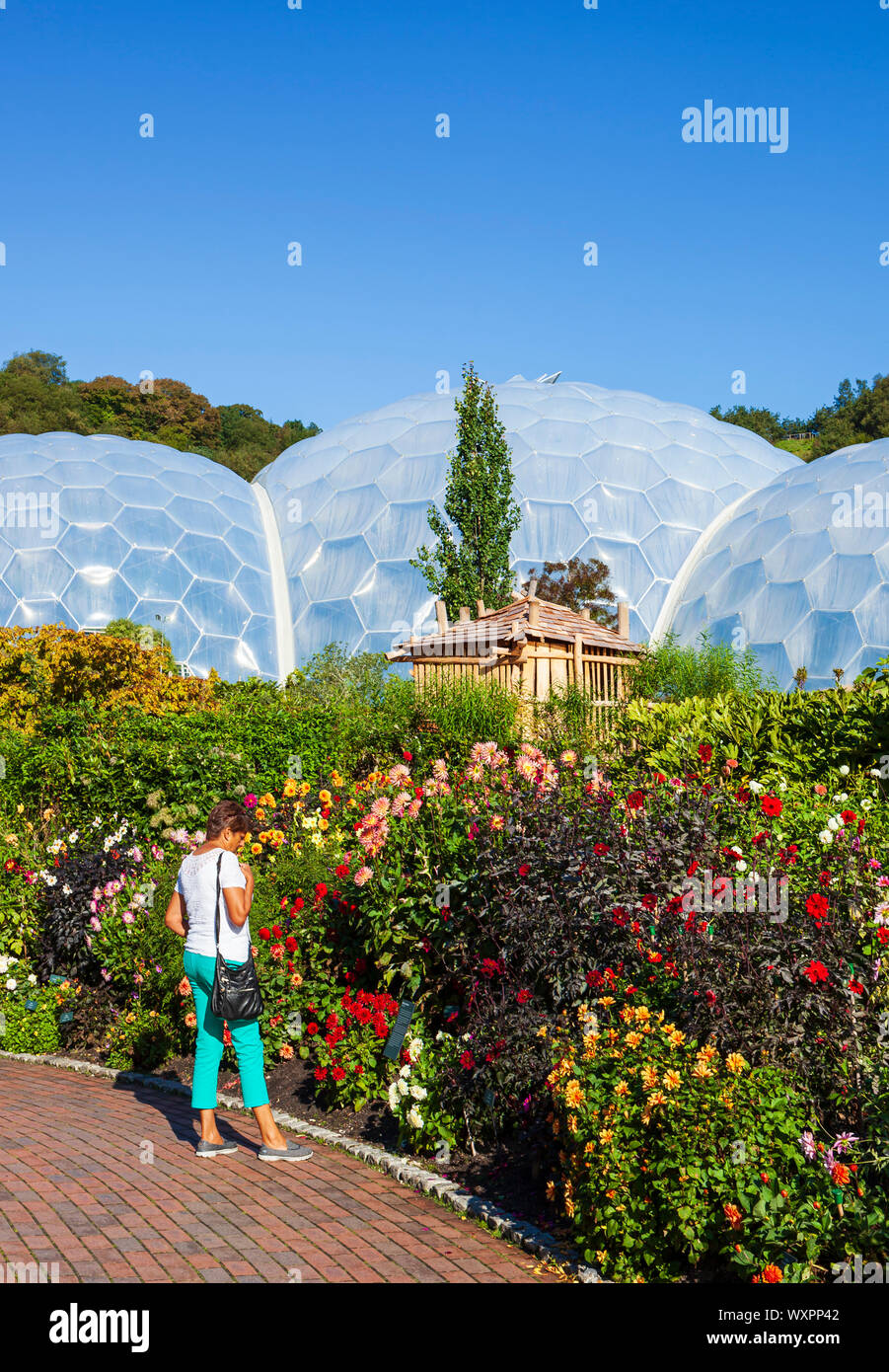 Woman in the Eden Project gardens Stock Photo - Alamy