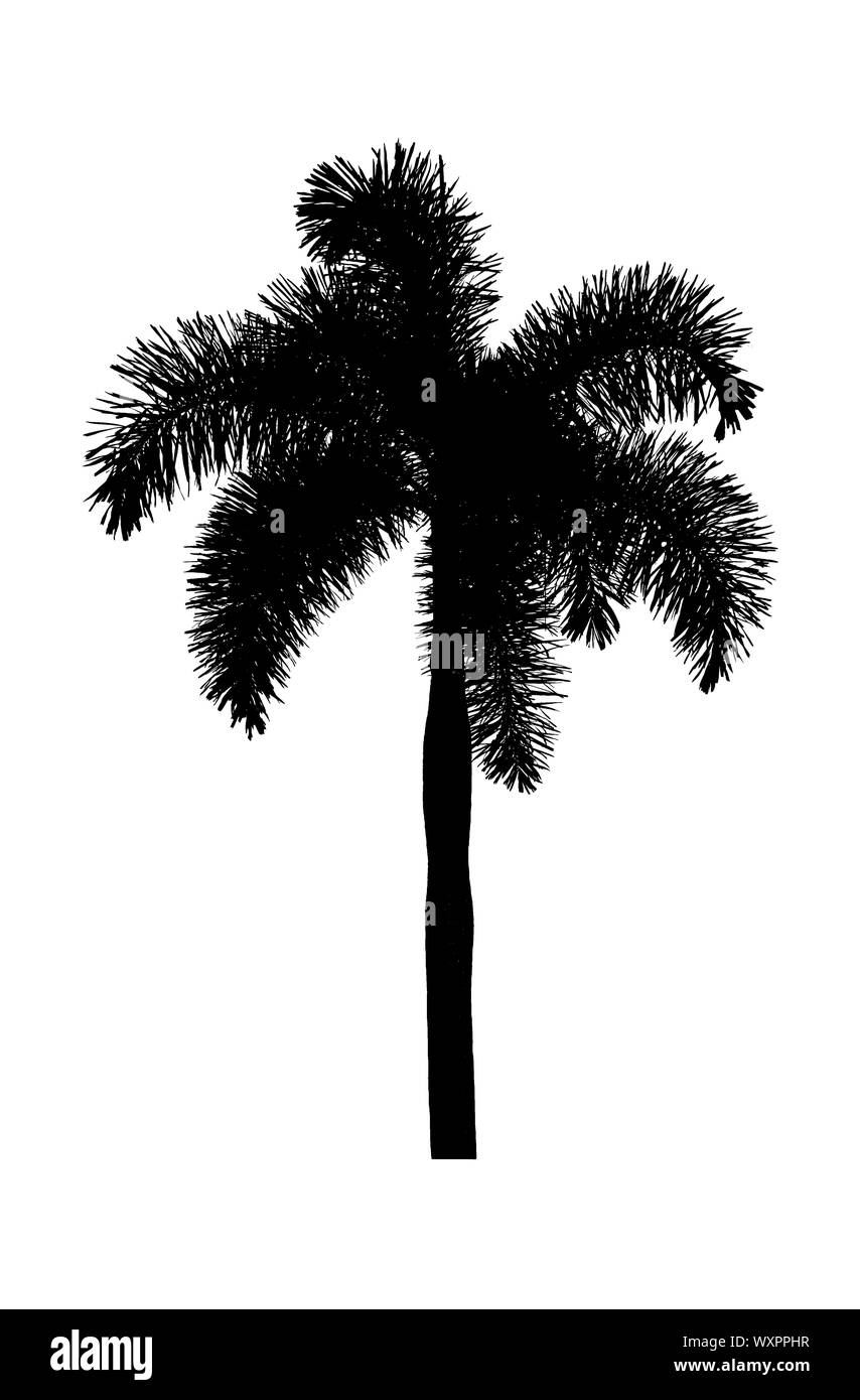 Spring wild plants wood Cut Out Stock Images & Pictures - Alamy