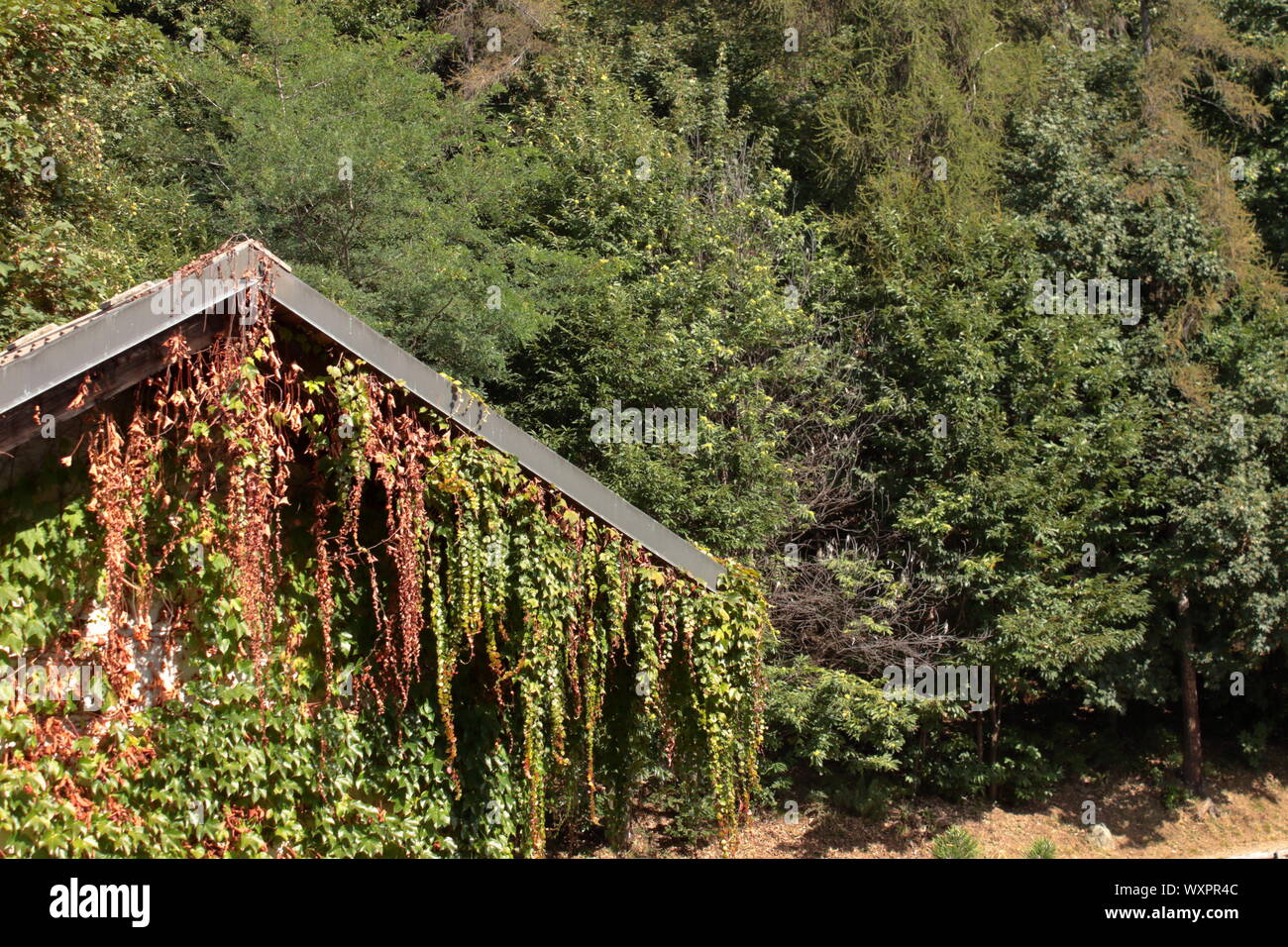 Picnic canopy hi-res stock photography and images - Alamy