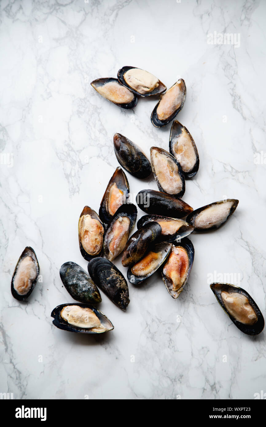 Top view with frozen mussels on white marble background Stock Photo - Alamy