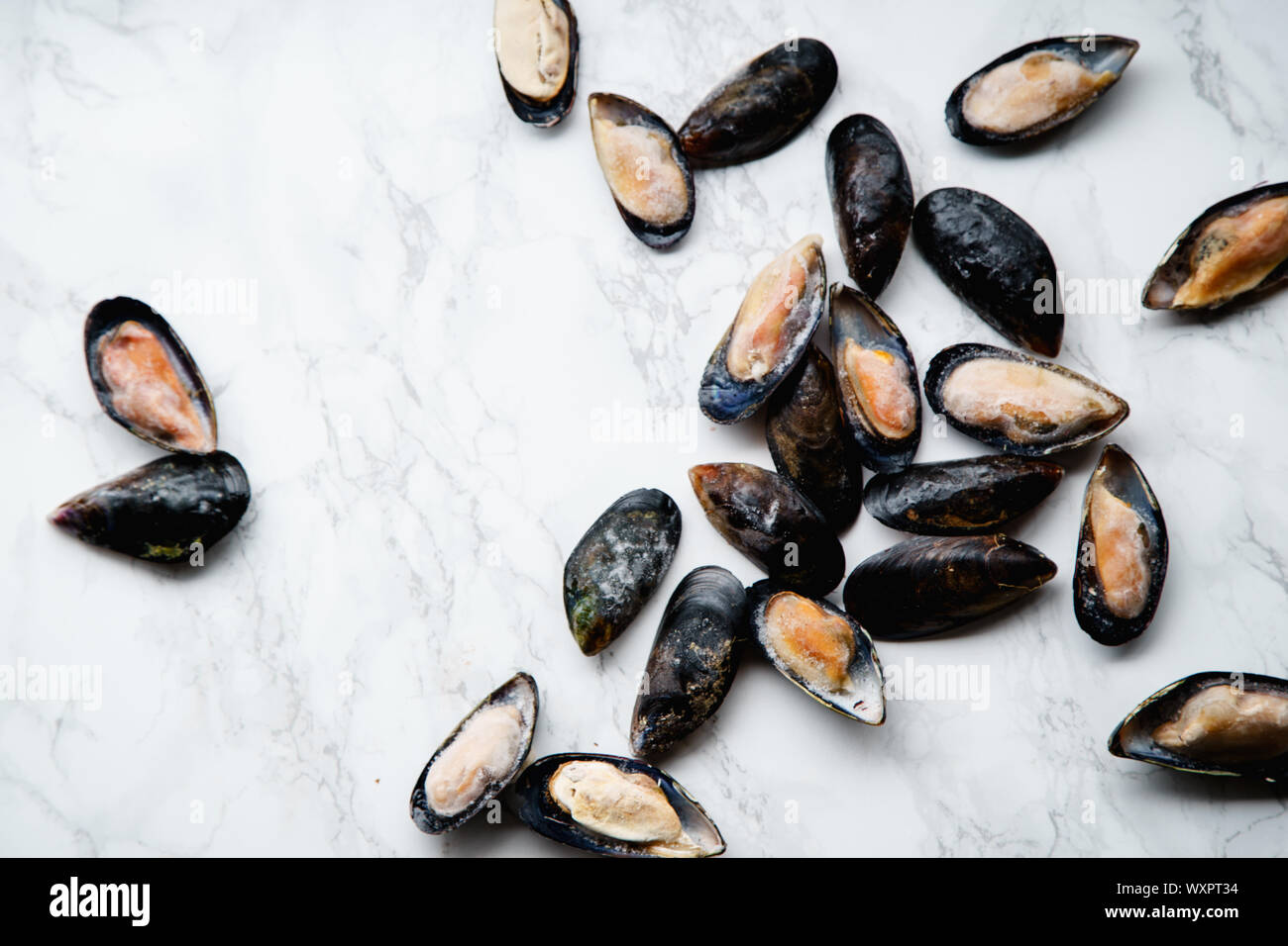 Top view with frozen mussels on white marble background with copy space ...