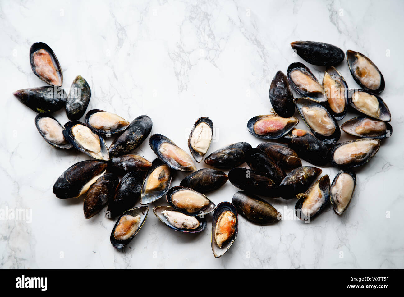 Top view with frozen mussels on white marble background layed in frame ...