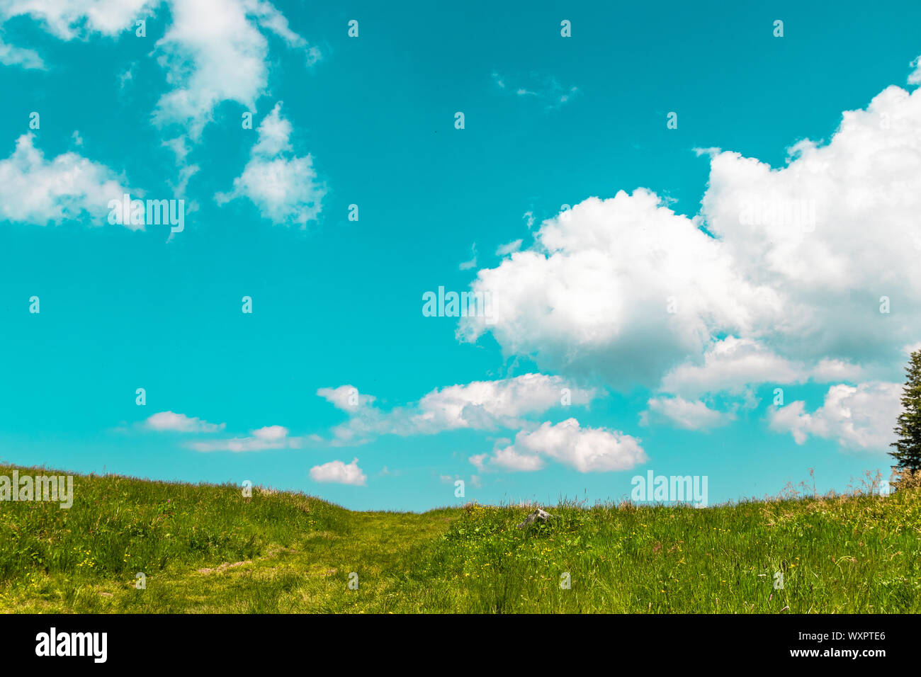 Panorama of beautiful countryside. sunny afternoon. Grassy field and ...