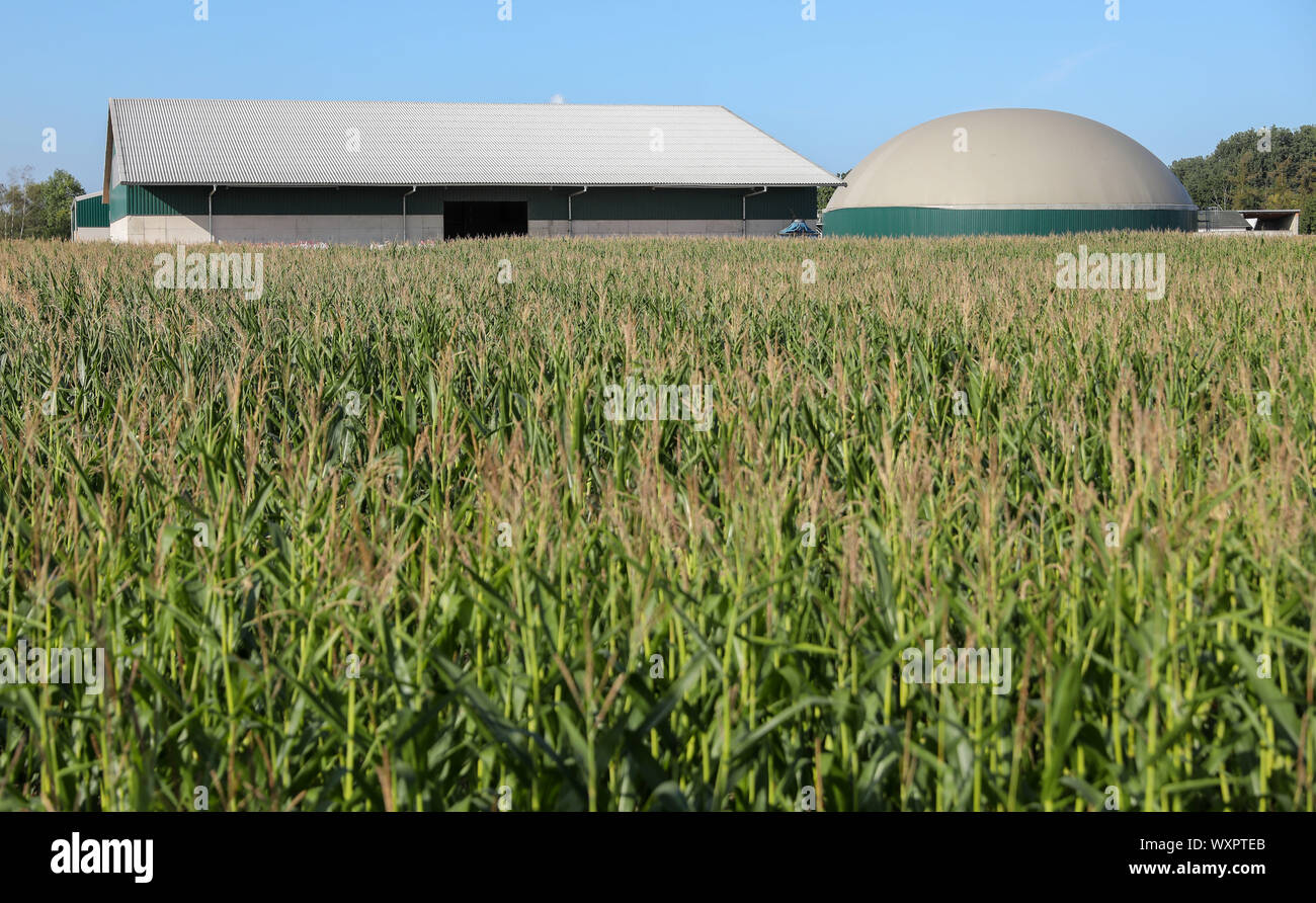 Round dome hi-res stock photography and images - Alamy