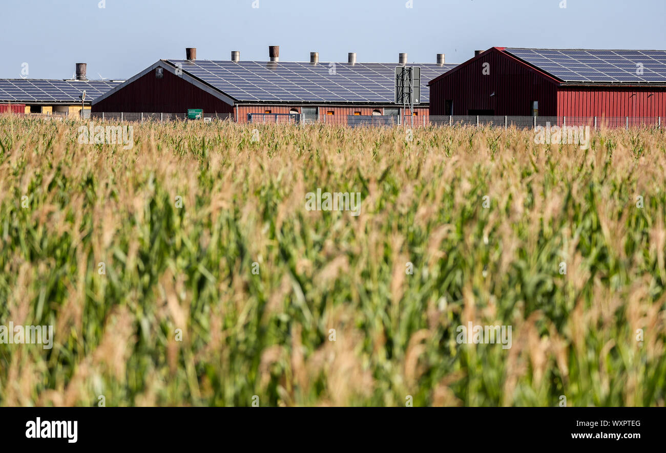 The so called stables hi-res stock photography and images - Alamy