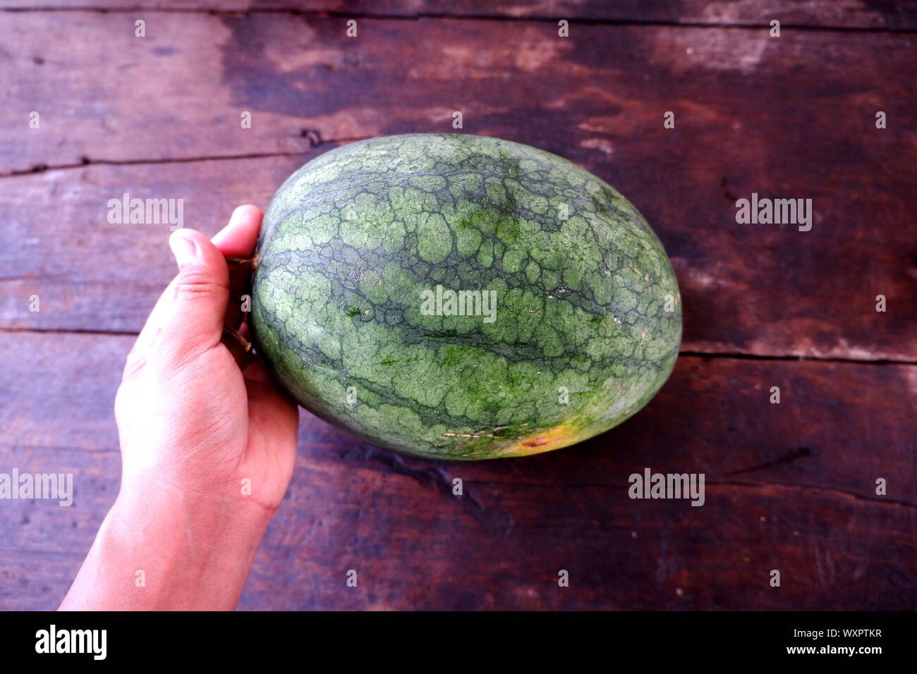 Watermelon hand grip on wooden floor Stock Photo - Alamy