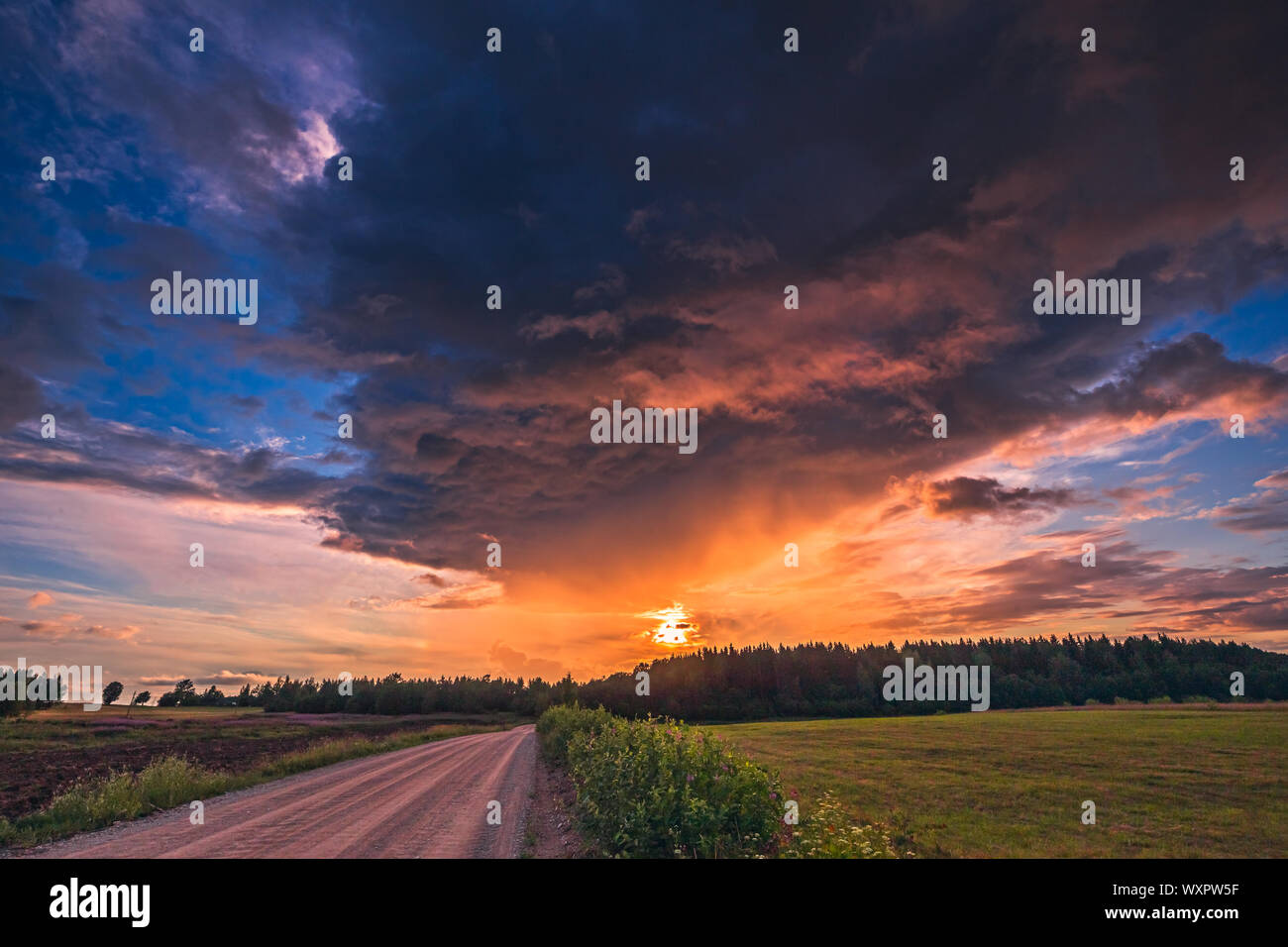 Summer field with path and sunset sky above. Beautiful sunset landscape ...