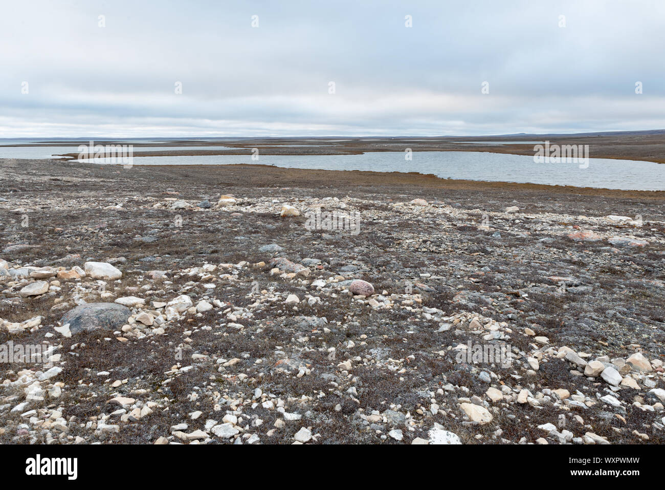 Victoria island canada tundra hi-res stock photography and images - Alamy