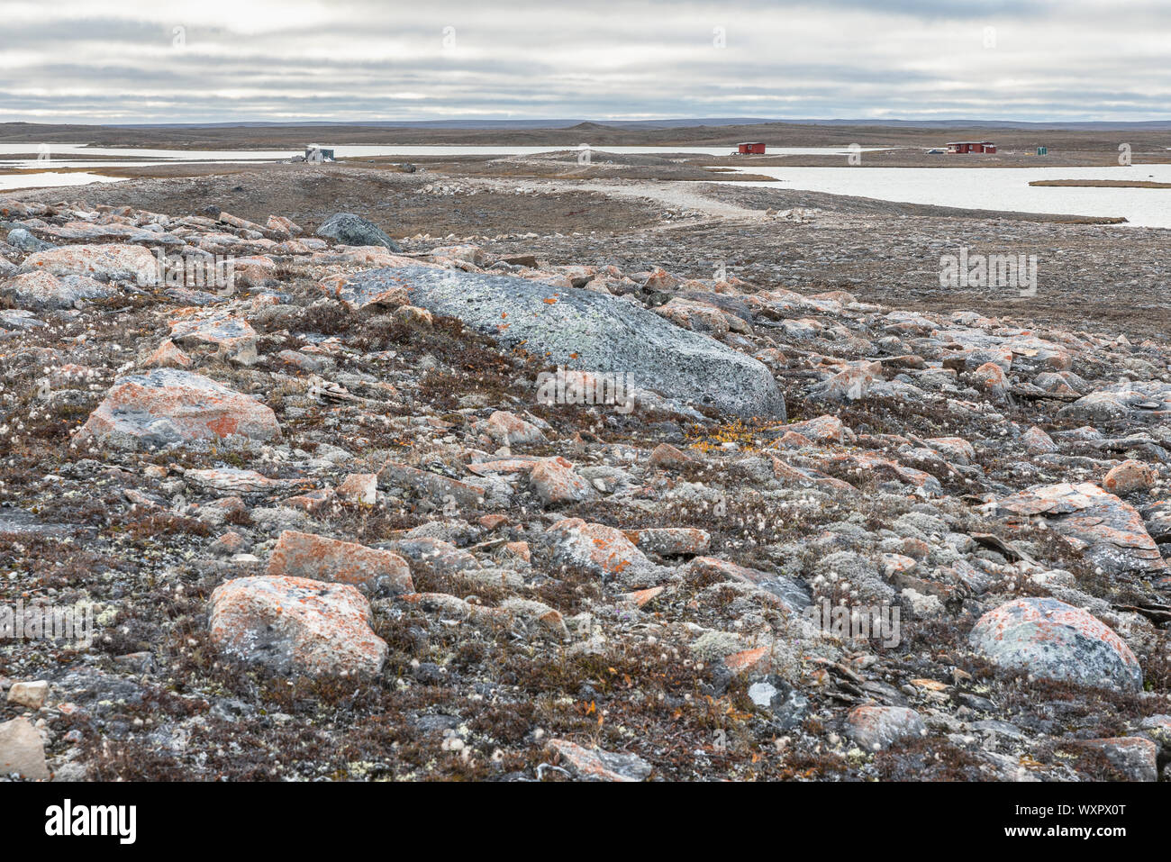 Victoria island nunavut hi-res stock photography and images - Alamy