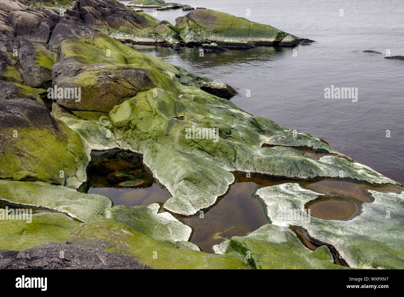 Cliff spring summer hi-res stock photography and images - Alamy