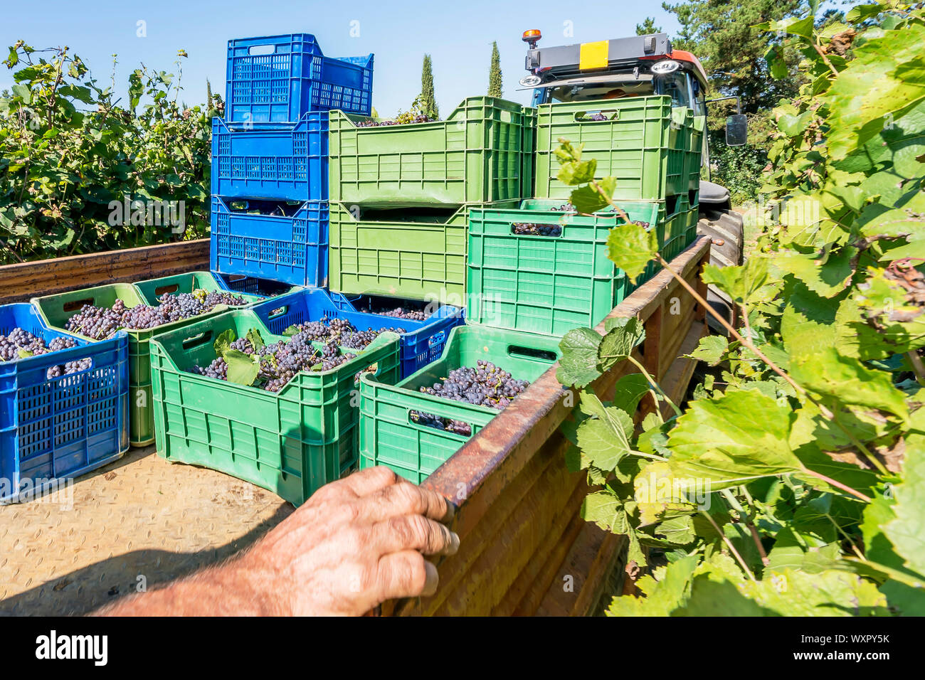 Tractor with wine box trailer hi-res stock photography and images - Alamy