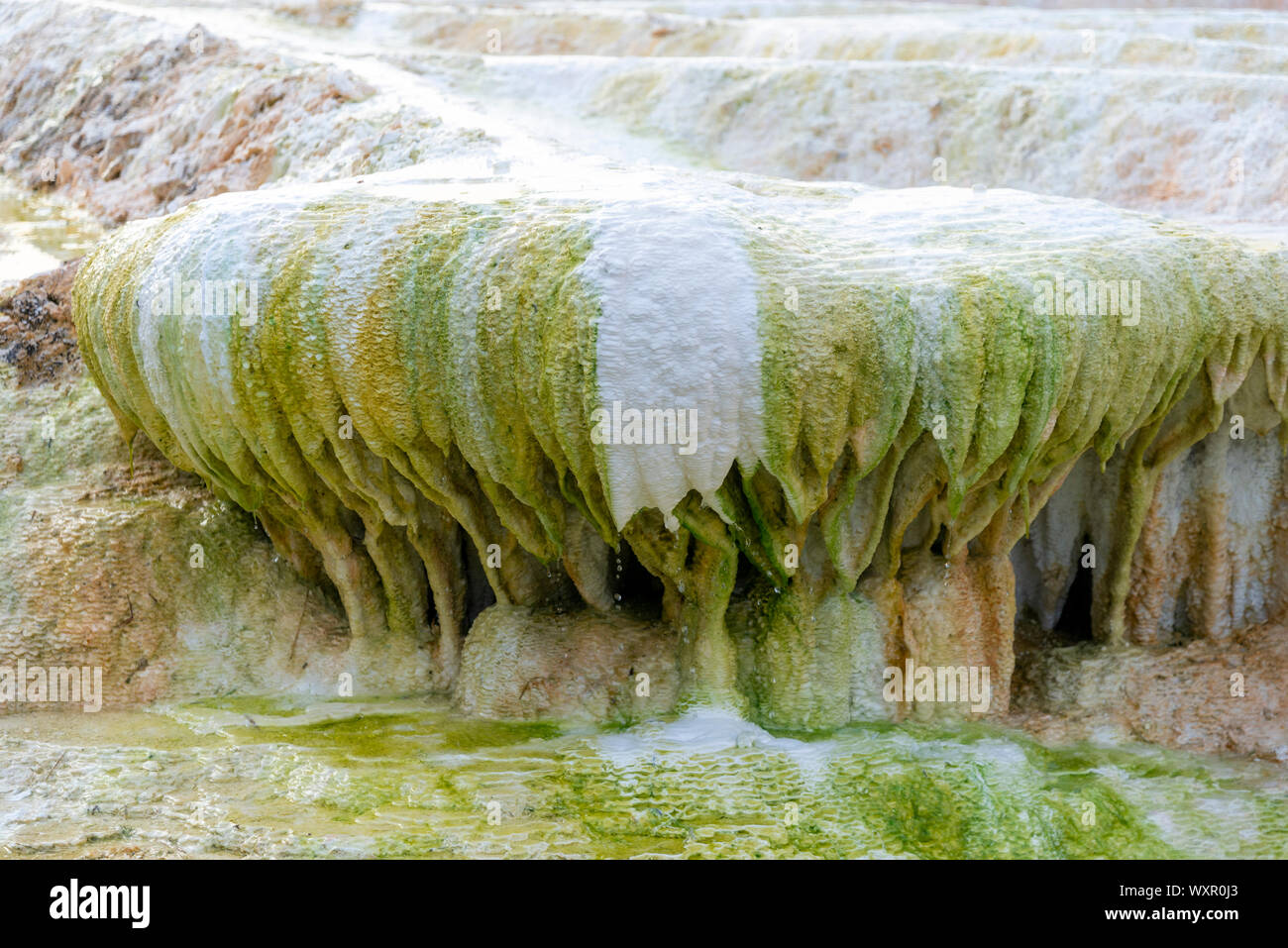 Travertine Rock Formation