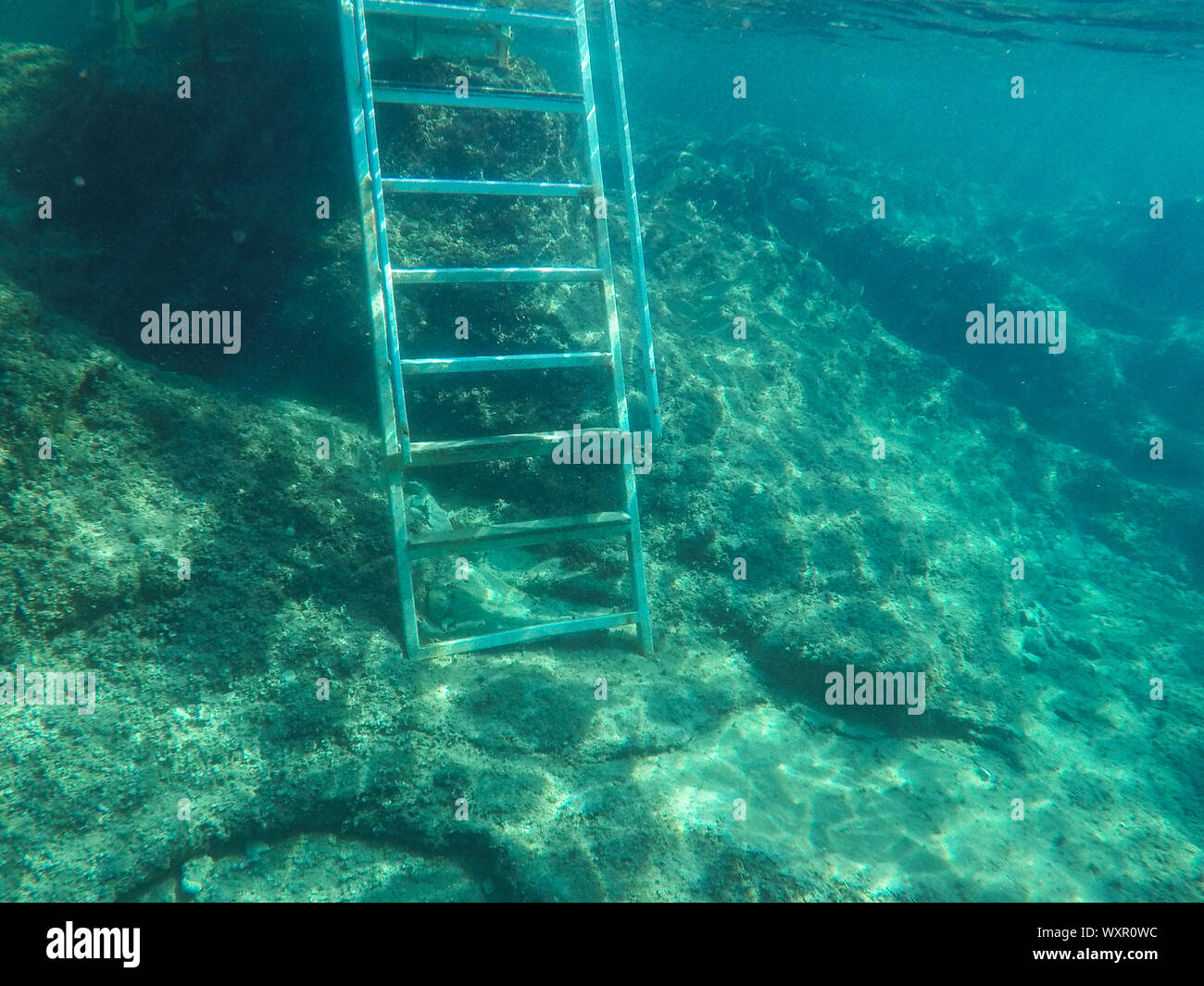 ladder under the water stands on the seabed Stock Photo - Alamy